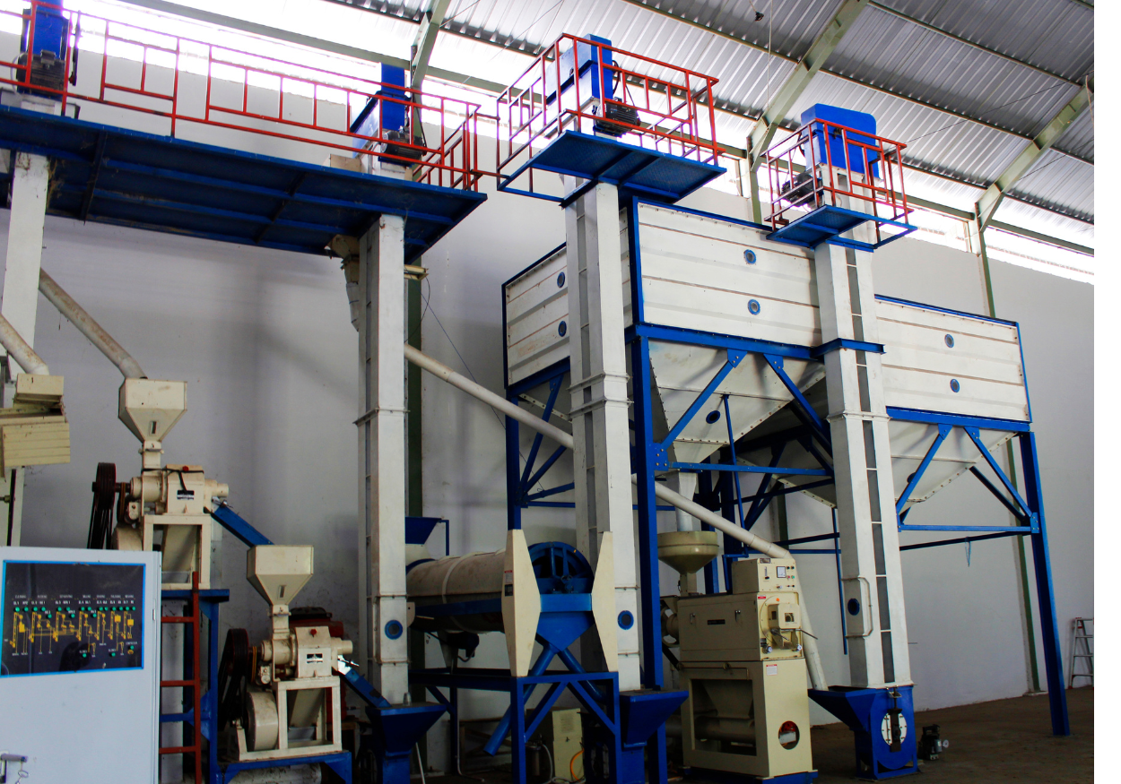 Working principle of Buhler optical color sorter