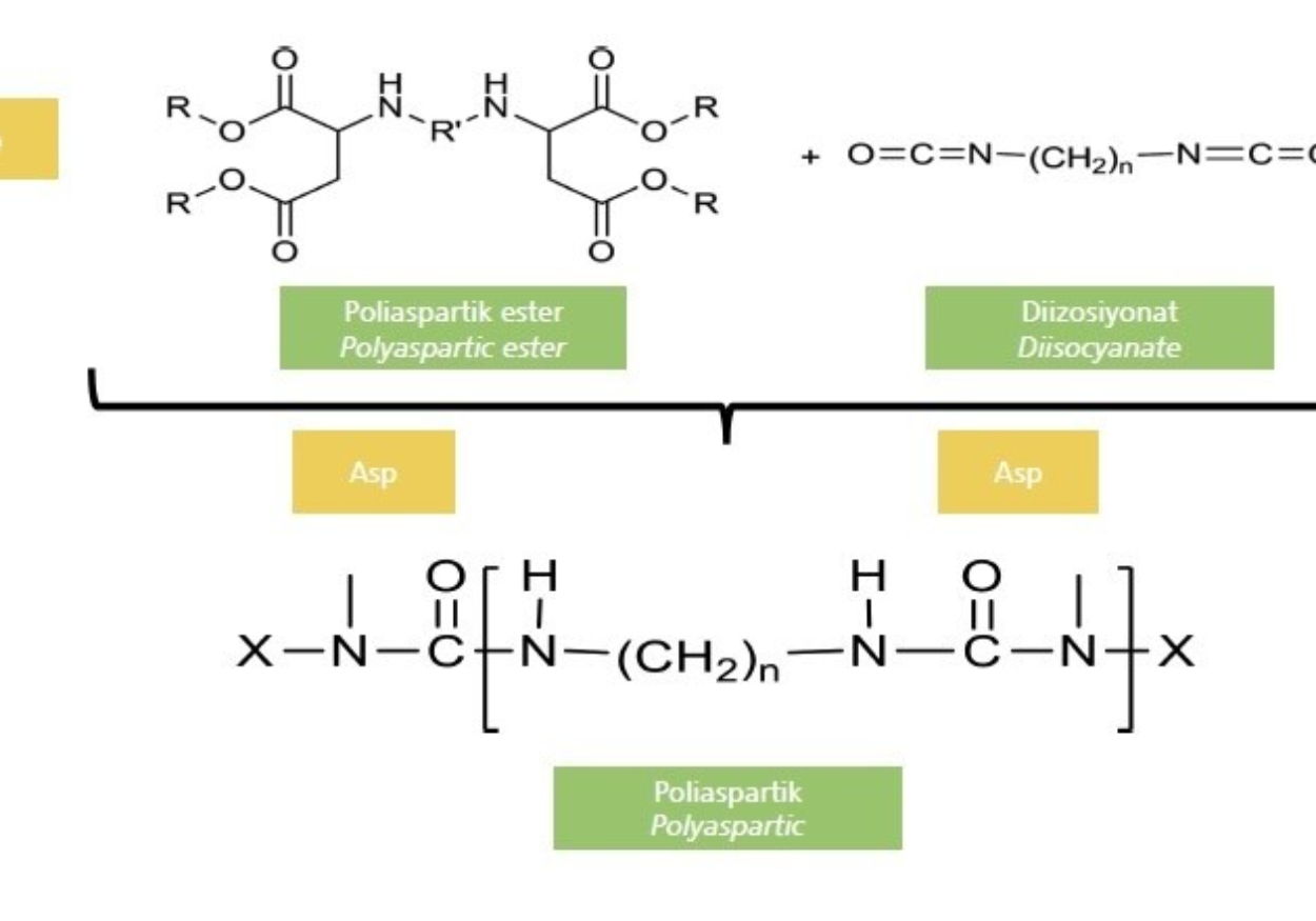 Polyaspartic Resin: Structure and Outstanding Characteristics